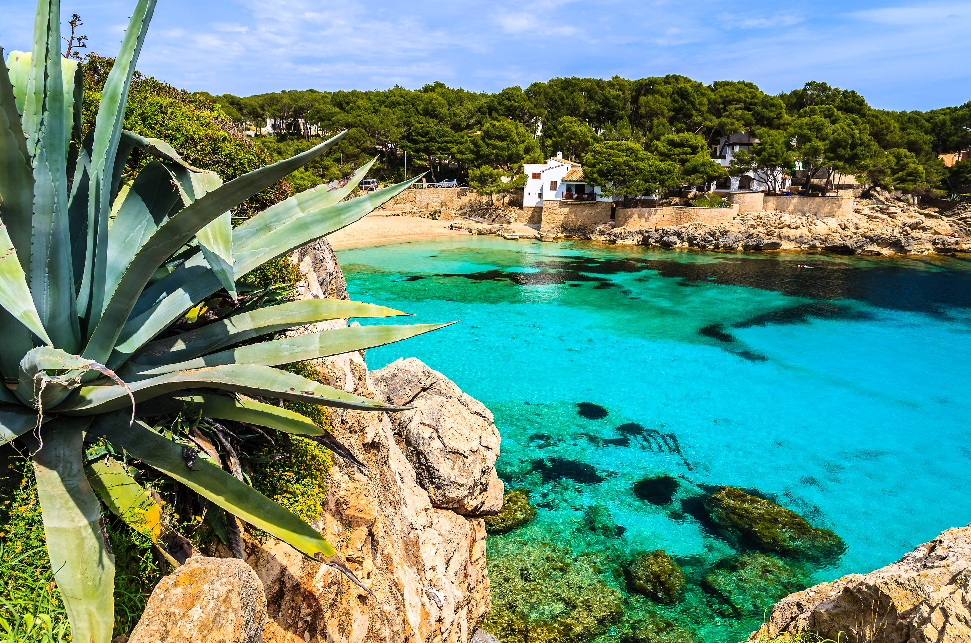 Las playas más bonitas de Mallorca | Holidayguru.es